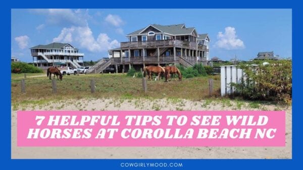 7 Helpful Tips to See Wild Horses at Corolla Beach, NC